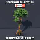 Stripped Jungle Trees (Schematic Collection) Minecraft Map