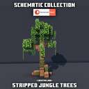 Stripped Jungle Trees (Schematic Collection) Minecraft Map