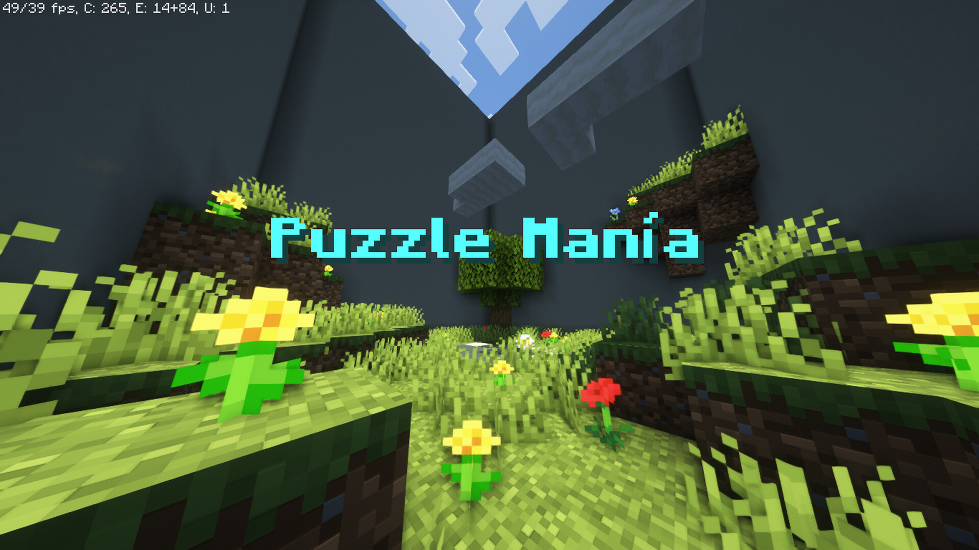 Puzzle Manía Minecraft Map
