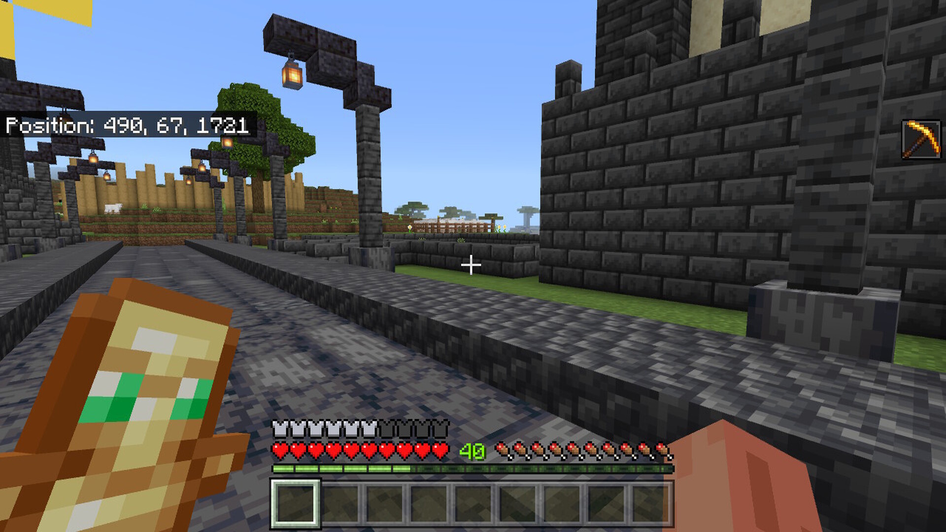 New survival world Minecraft Map