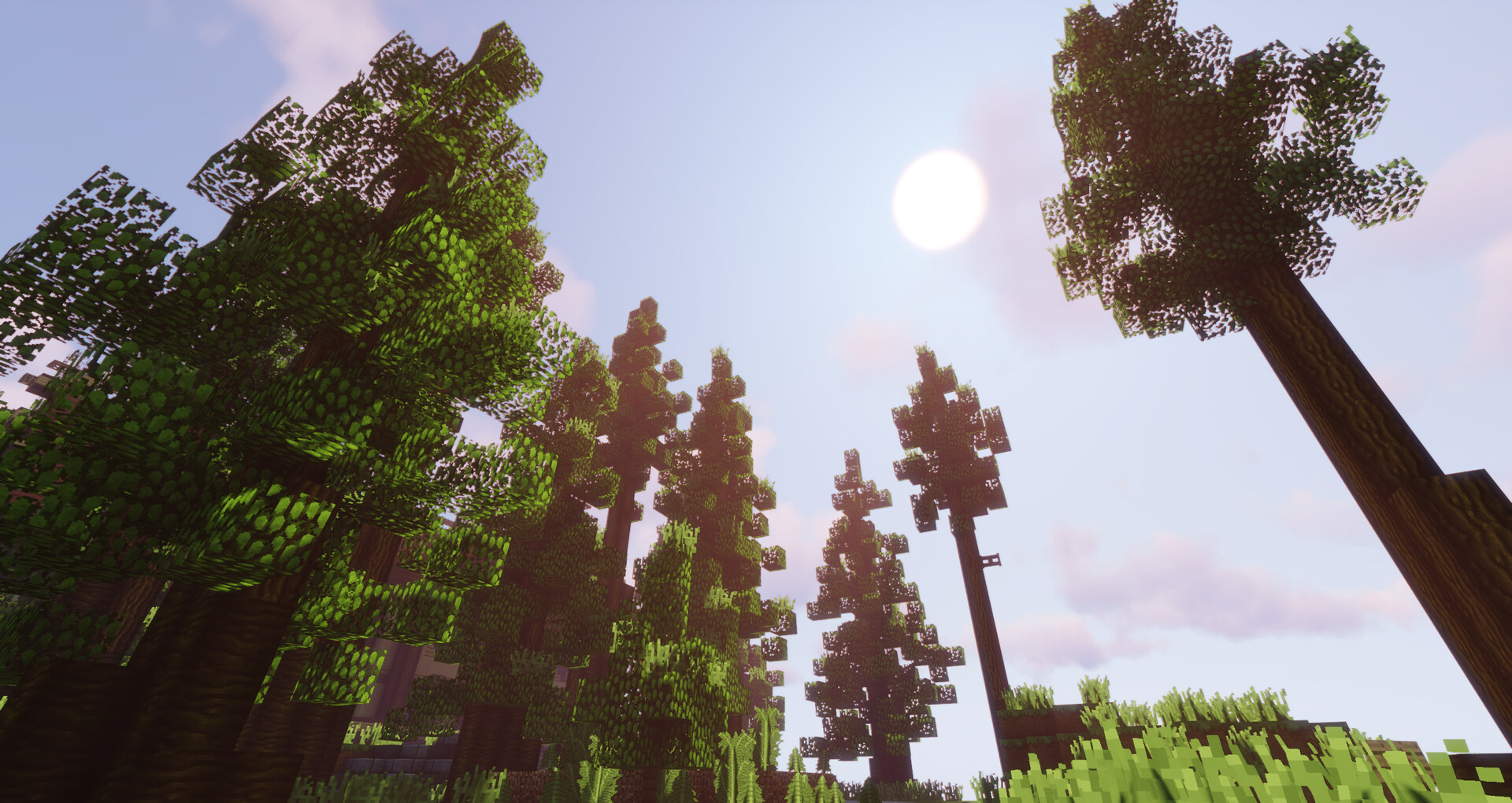 Big-Spawn | Thema | Nature Minecraft Map