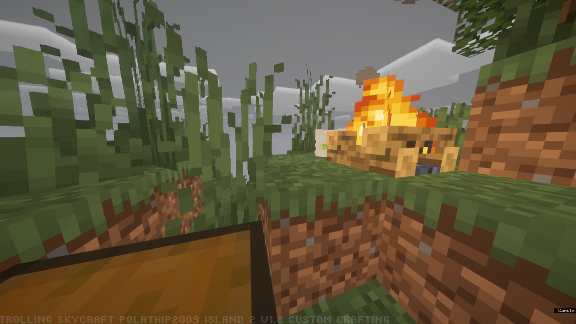 Trolling SkyCraft Minecraft Map