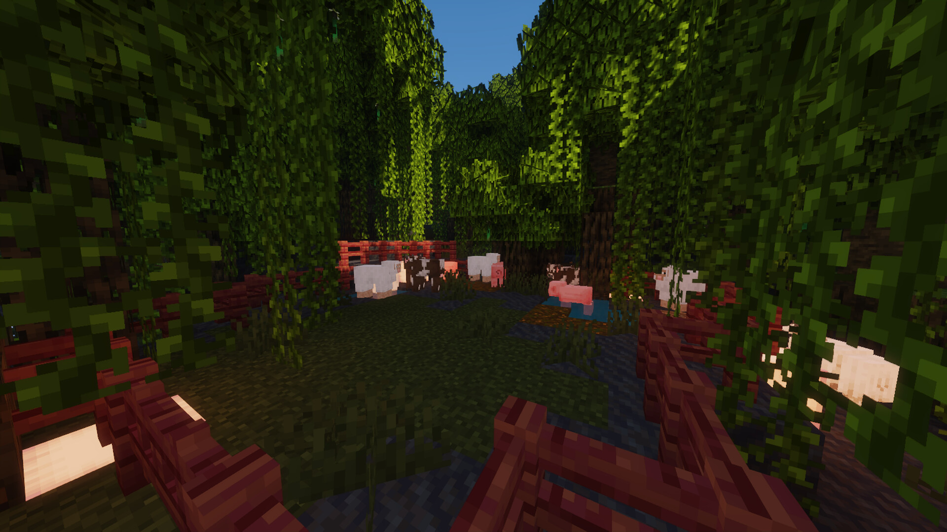 Cozy Mangrove House Minecraft Map