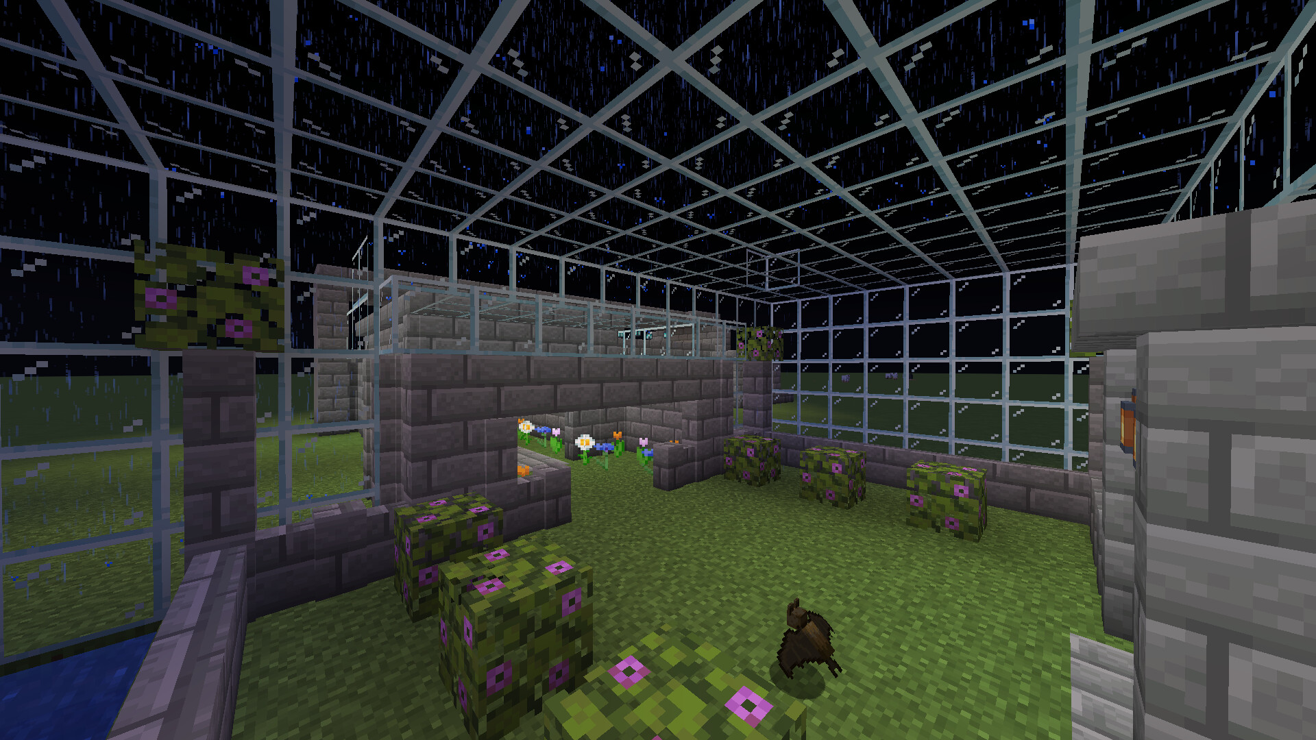 Hamster Garden Minecraft Map