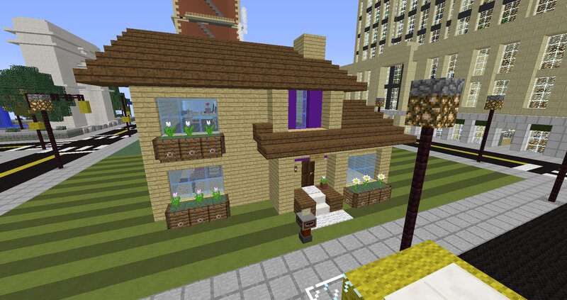 Cartoon Street Minecraft Map