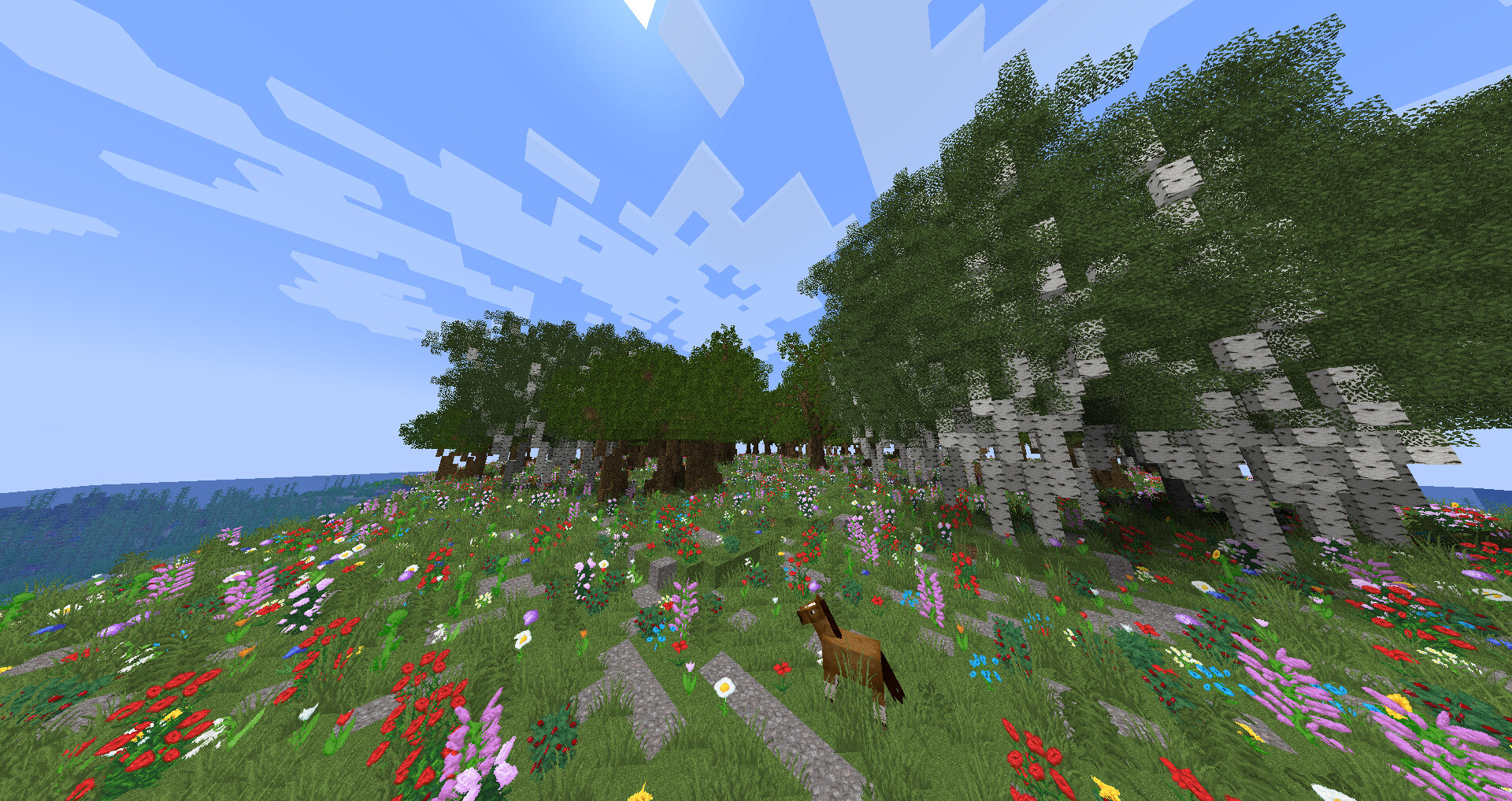 Survival Map By Raq,version 1.0 Minecraft Map