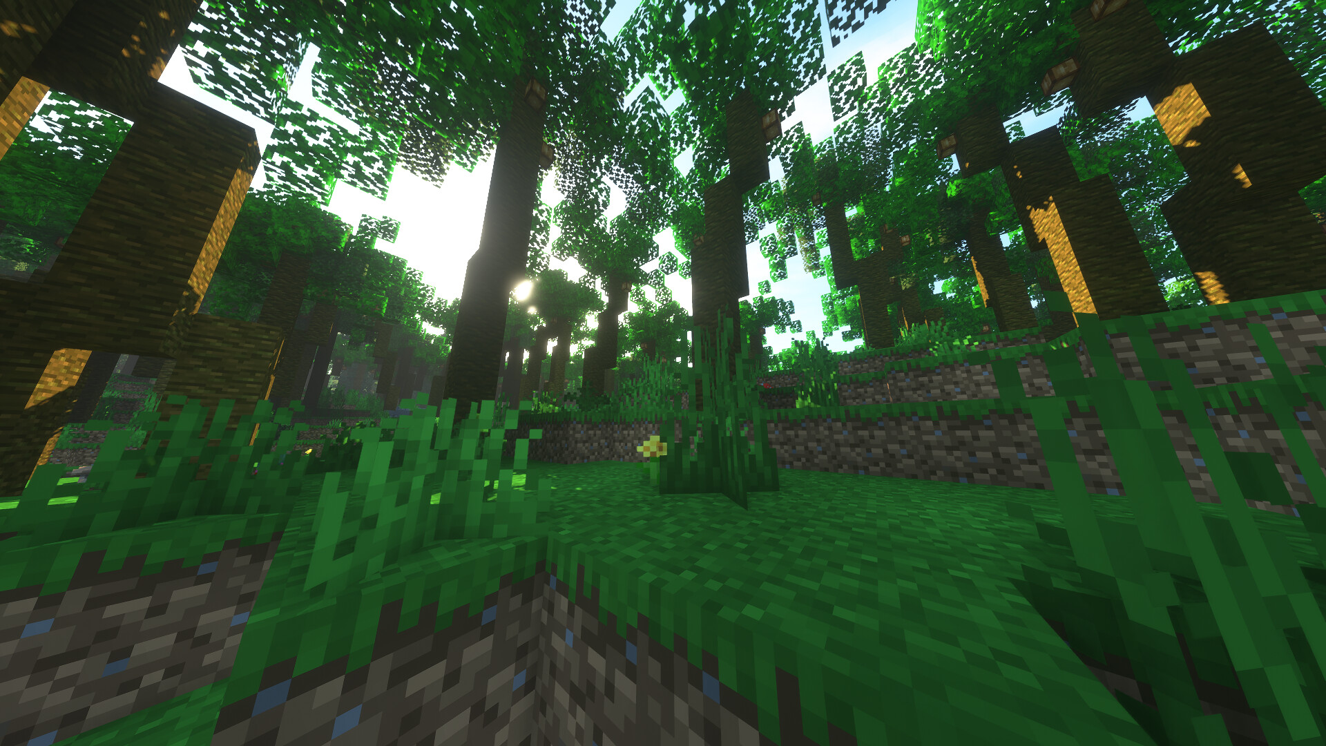 The Hidden Island Minecraft Map