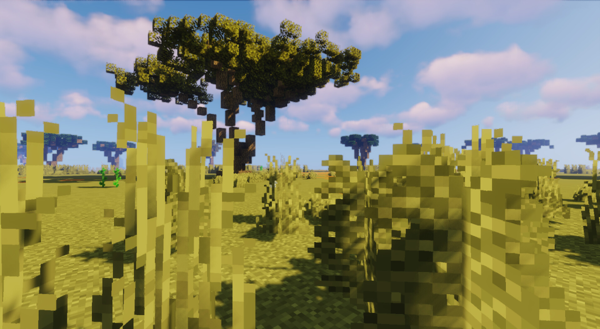 Earth 1:180m Minecraft Map