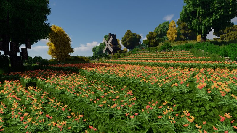 𝑭𝒐𝒖𝒓 𝑺𝒕𝒊𝒄𝒌𝒔 (𝑯𝒐𝒃𝒃𝒊𝒕 𝑯𝒐𝒍𝒆) Minecraft Map