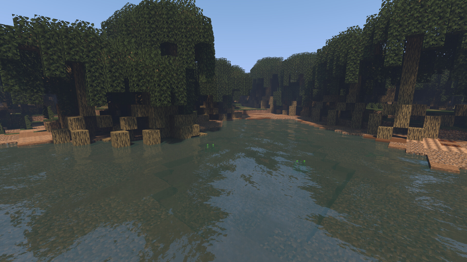 ONLY SWAMP Minecraft Map