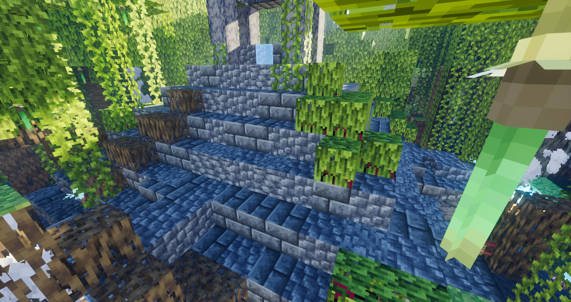 Magical Swamp Minecraft Map