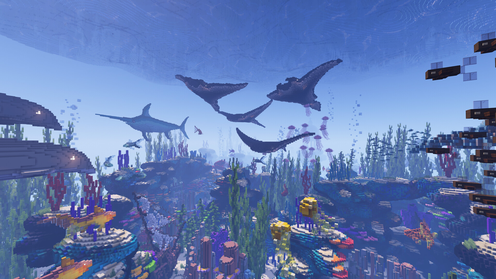 Reef Race Minecraft Map