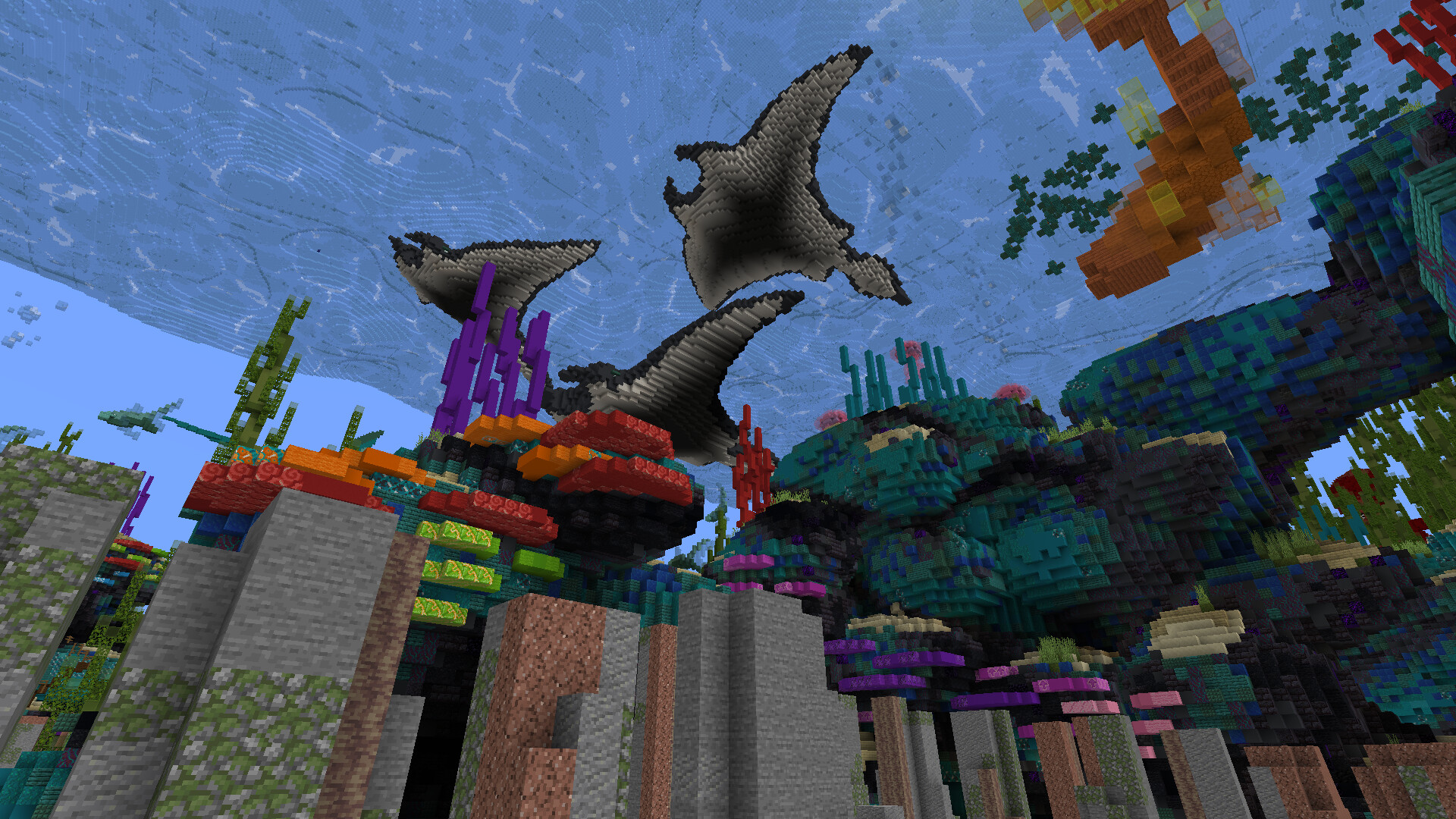 Reef Race Minecraft Map