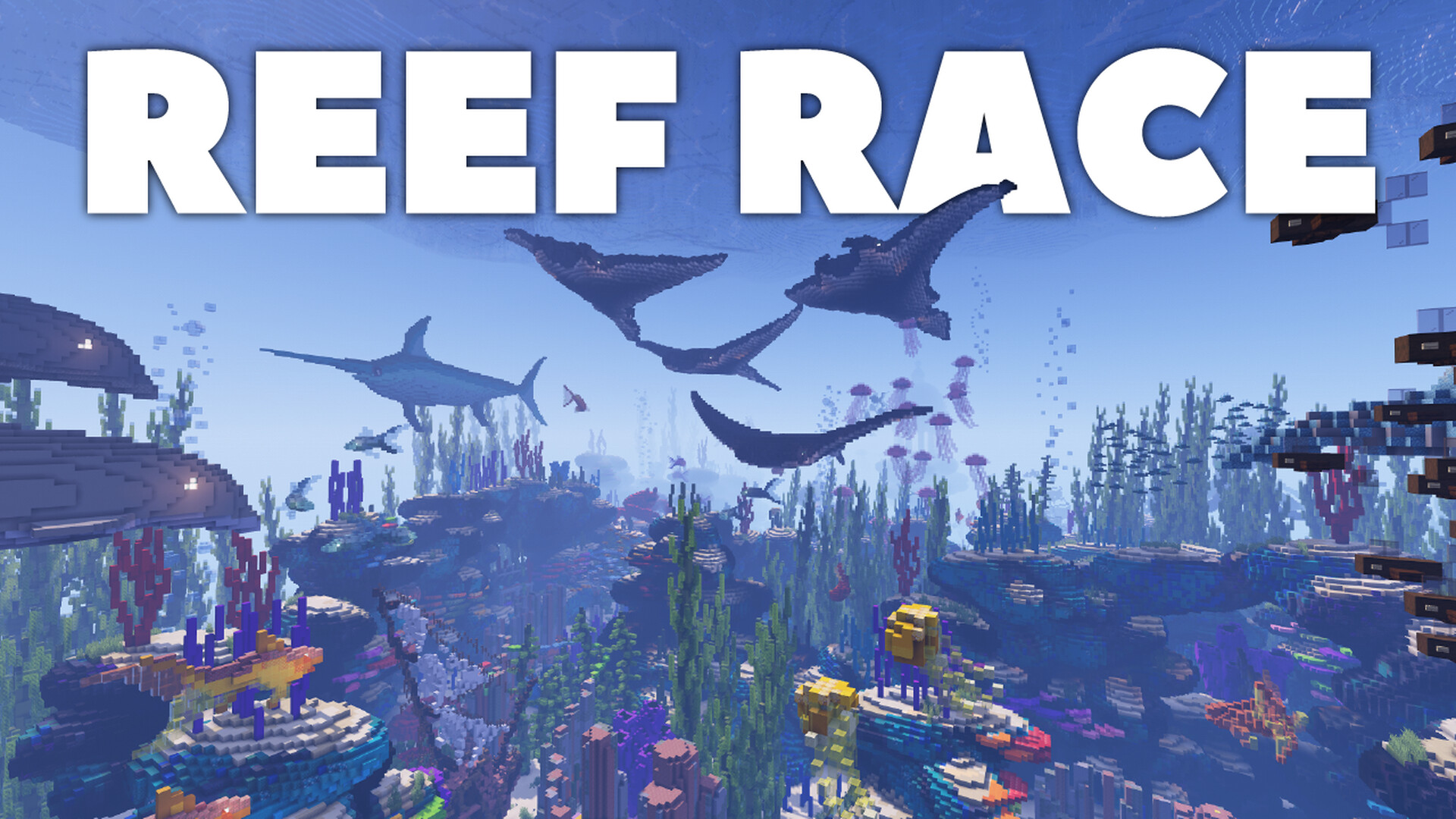 Reef Race Minecraft Map