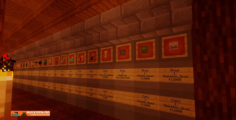 Server Shop Minecraft Map