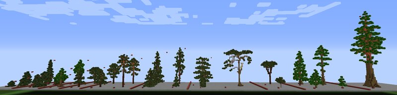 Fenyőfélék / Conifers (schematic) Minecraft Map