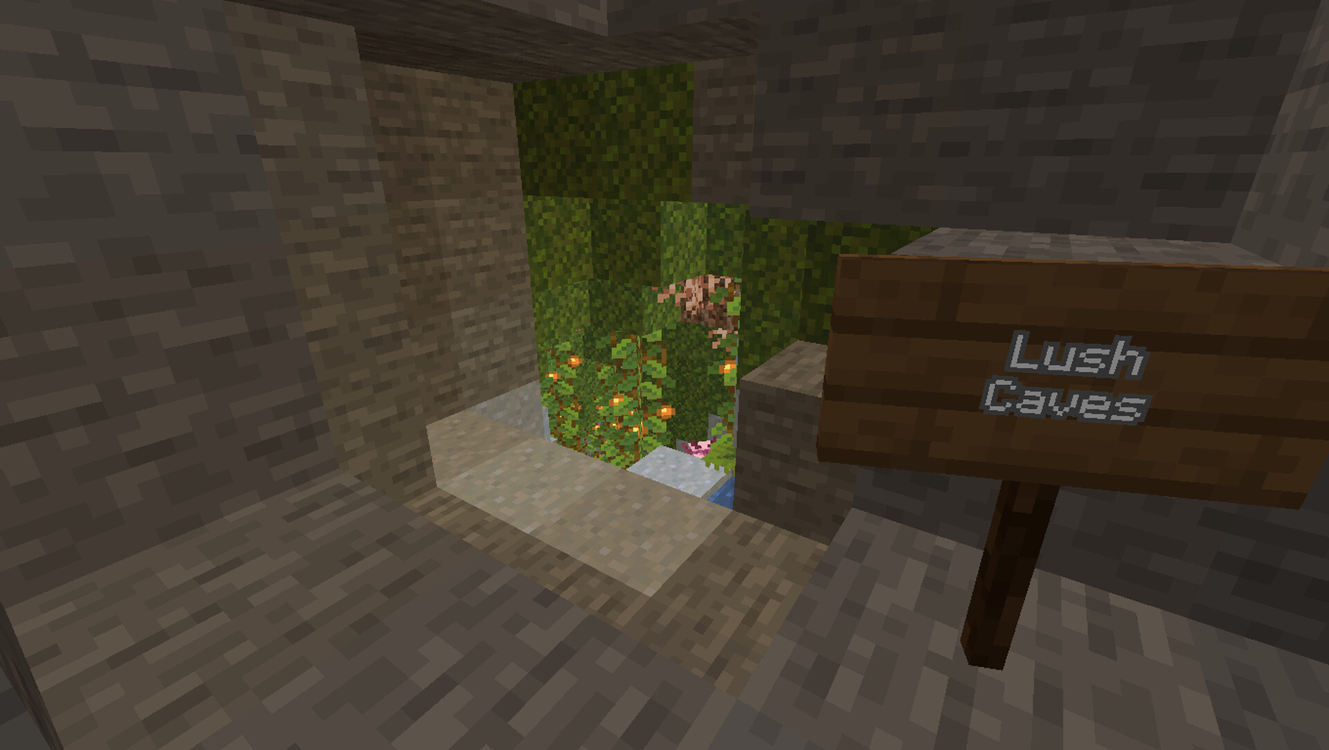 SkyLands Survival Minecraft Map