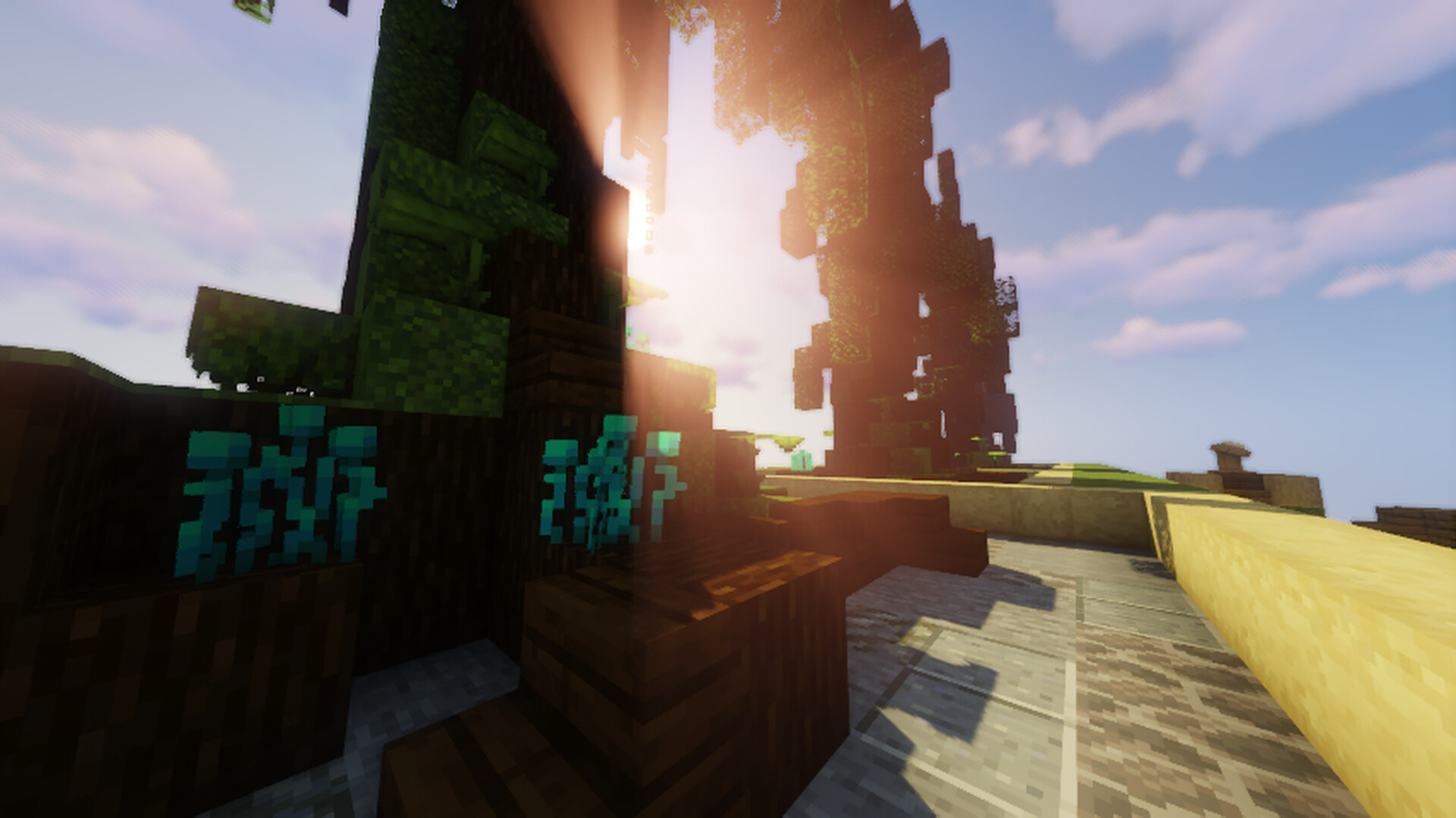 Spruce Forest Bundle [1.18.2 - 1.19] Minecraft Map