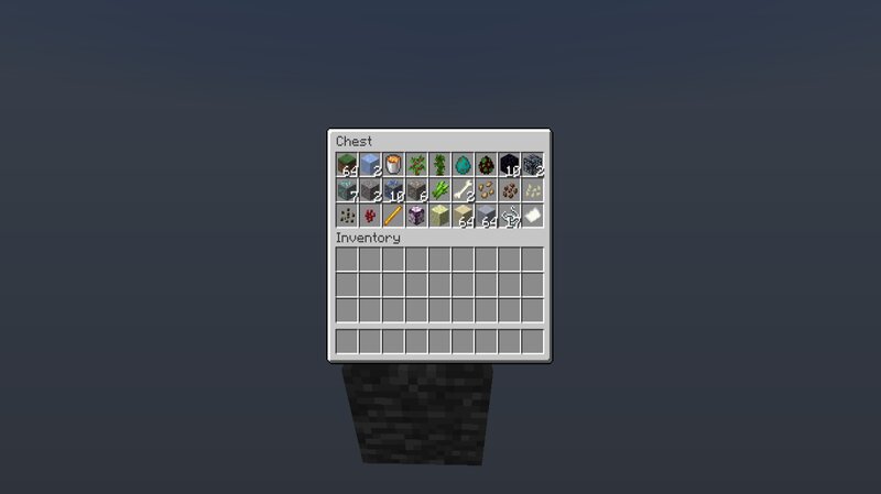 Bedrock to Java Pro SkyBlock 1.19 one chest Minecraft Map