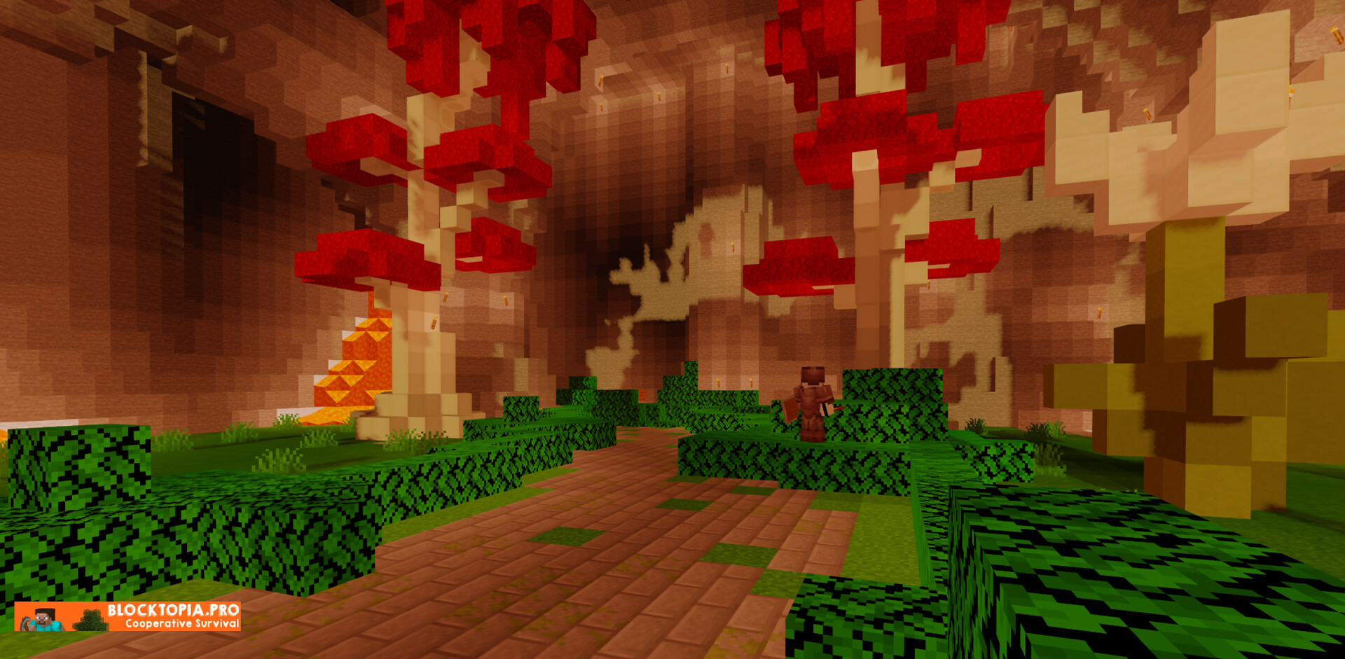 PvP Cavern Minecraft Map