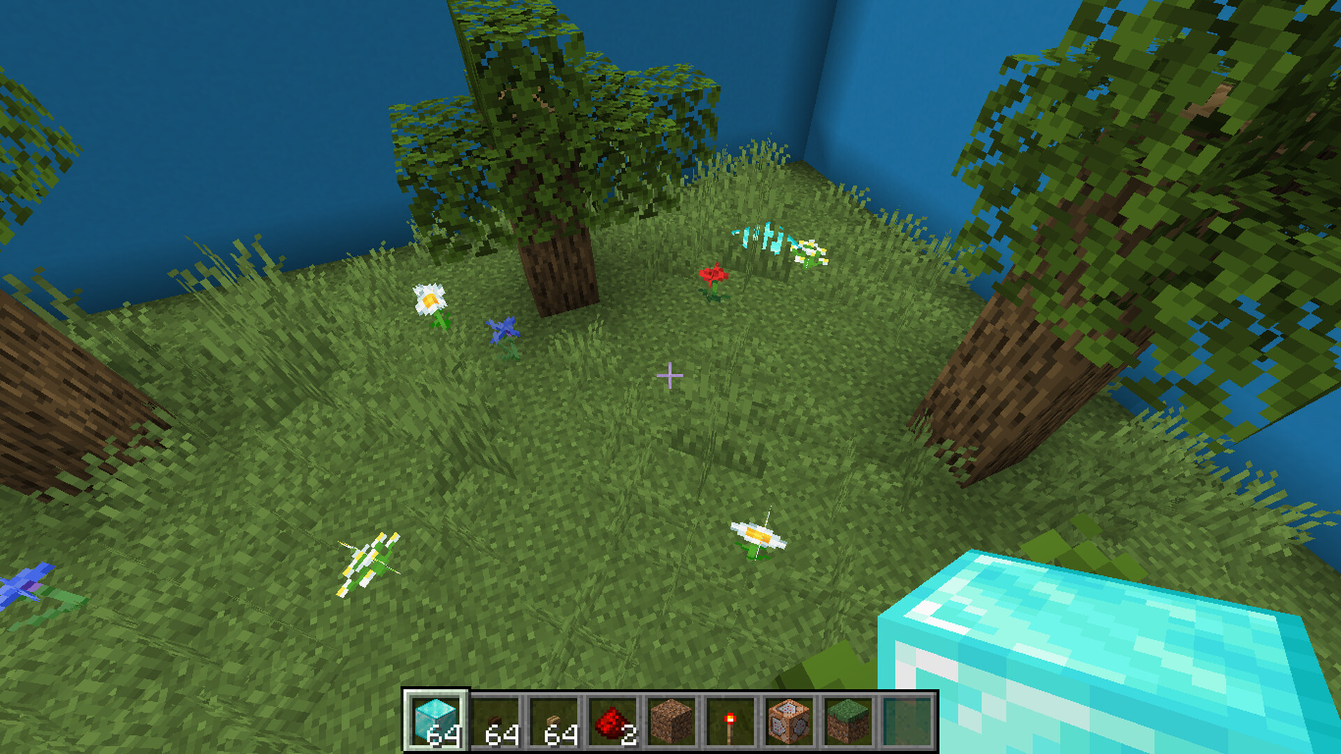 Find the button (V2) Minecraft Map