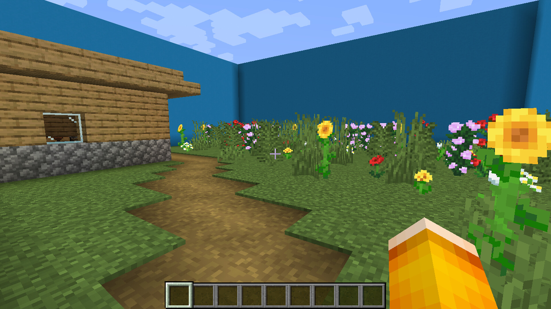 Find the button (V2) Minecraft Map