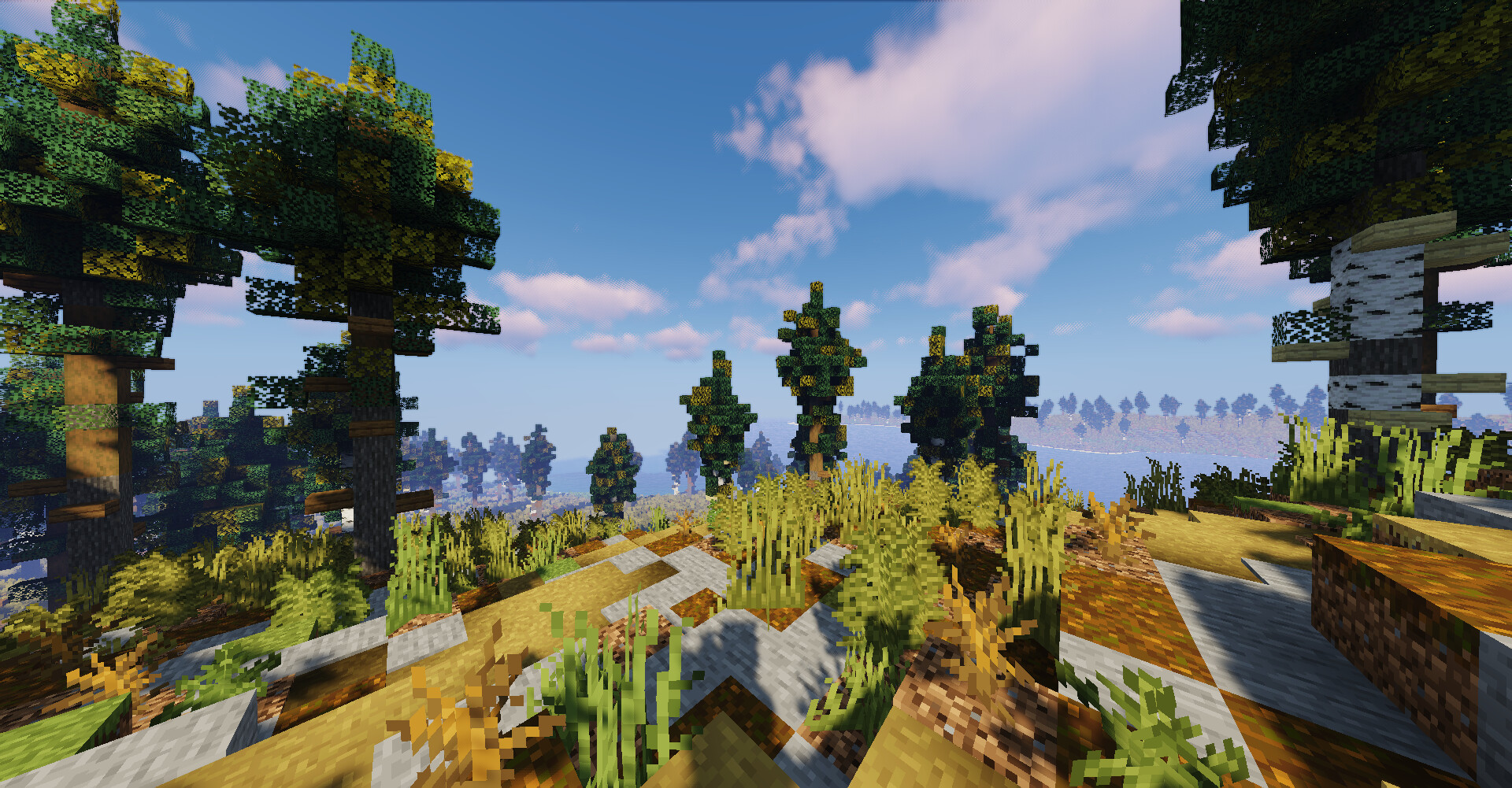 Argon (My first World-Painter Map!) Minecraft Map