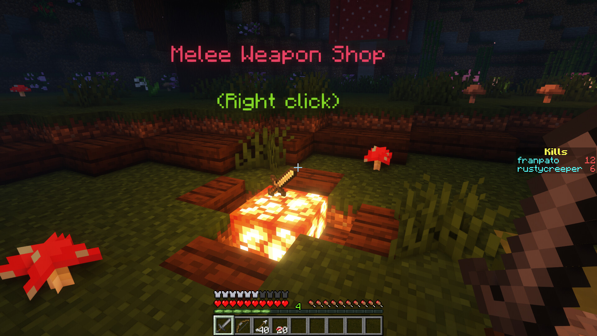 The Dark Mushroom Forest (1.19) Minecraft Map