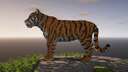 Tiger Minecraft Map