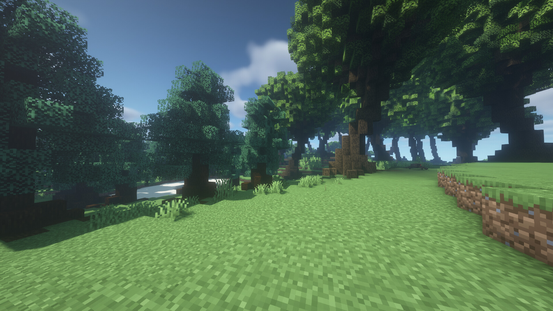 forest/with world painter#5 Minecraft Map