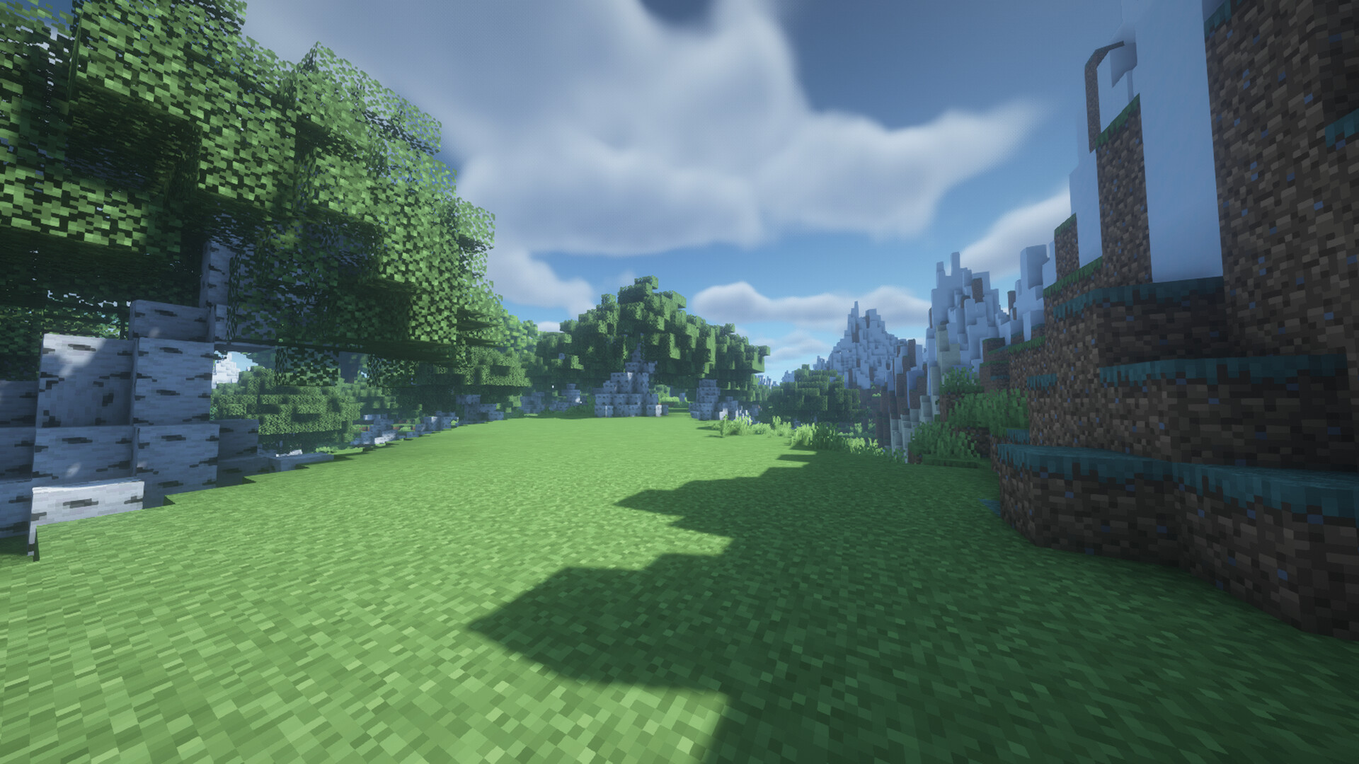 forest/with world painter#5 Minecraft Map