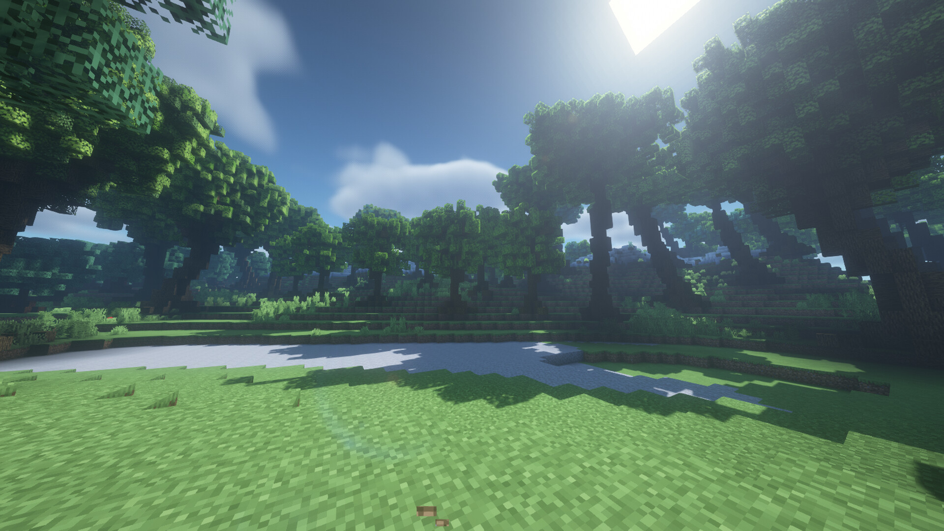 forest/with world painter#5 Minecraft Map