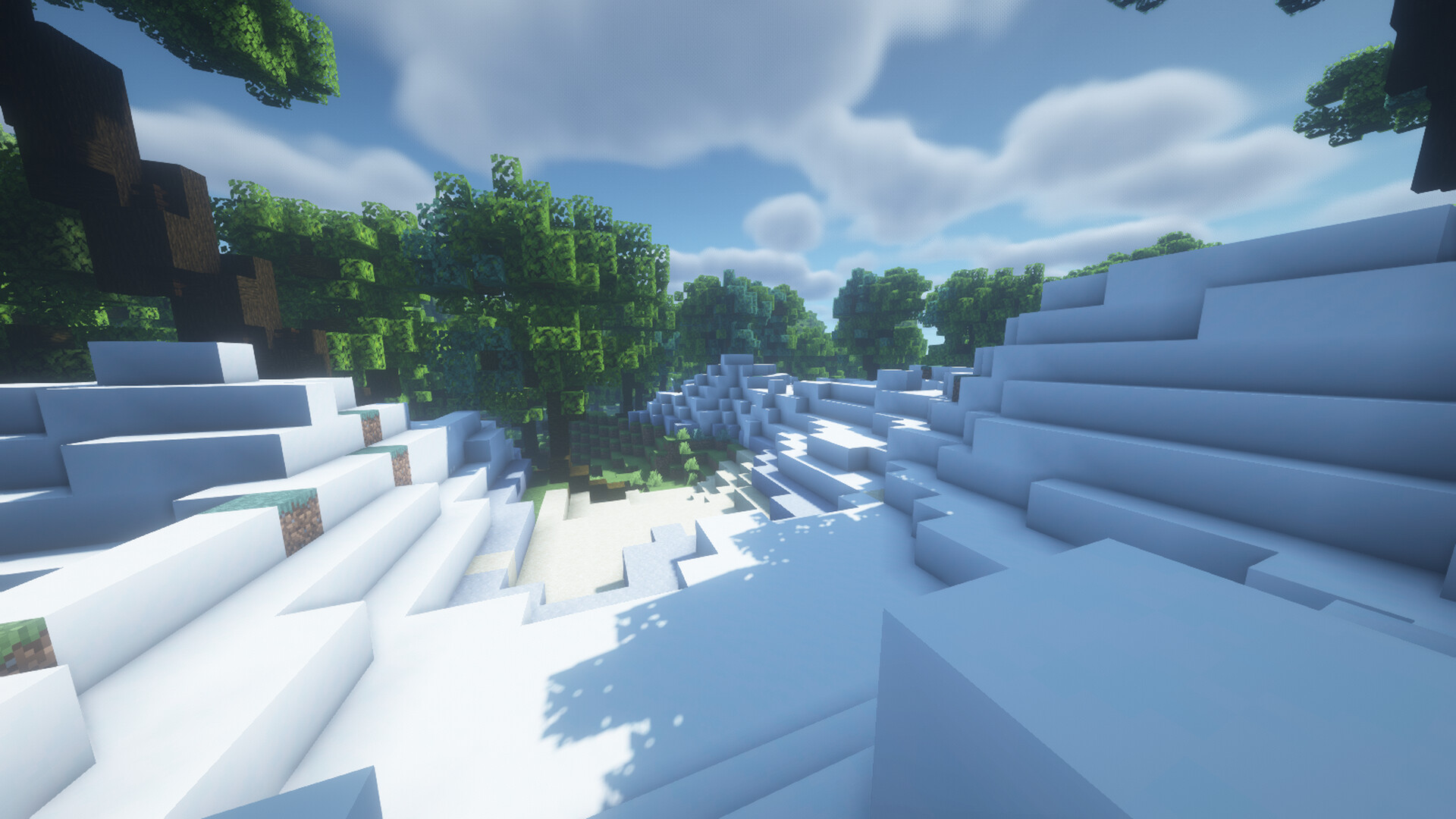 forest/with world painter#5 Minecraft Map