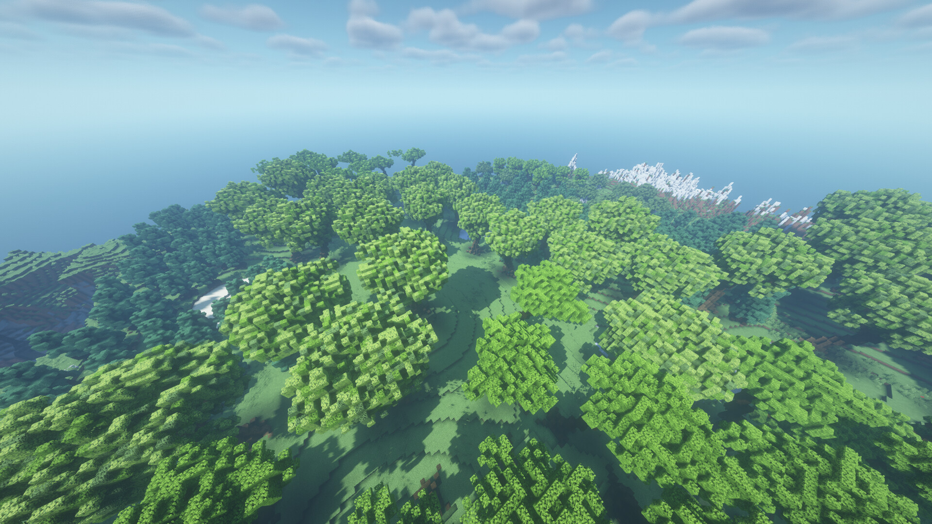 forest/with world painter#5 Minecraft Map