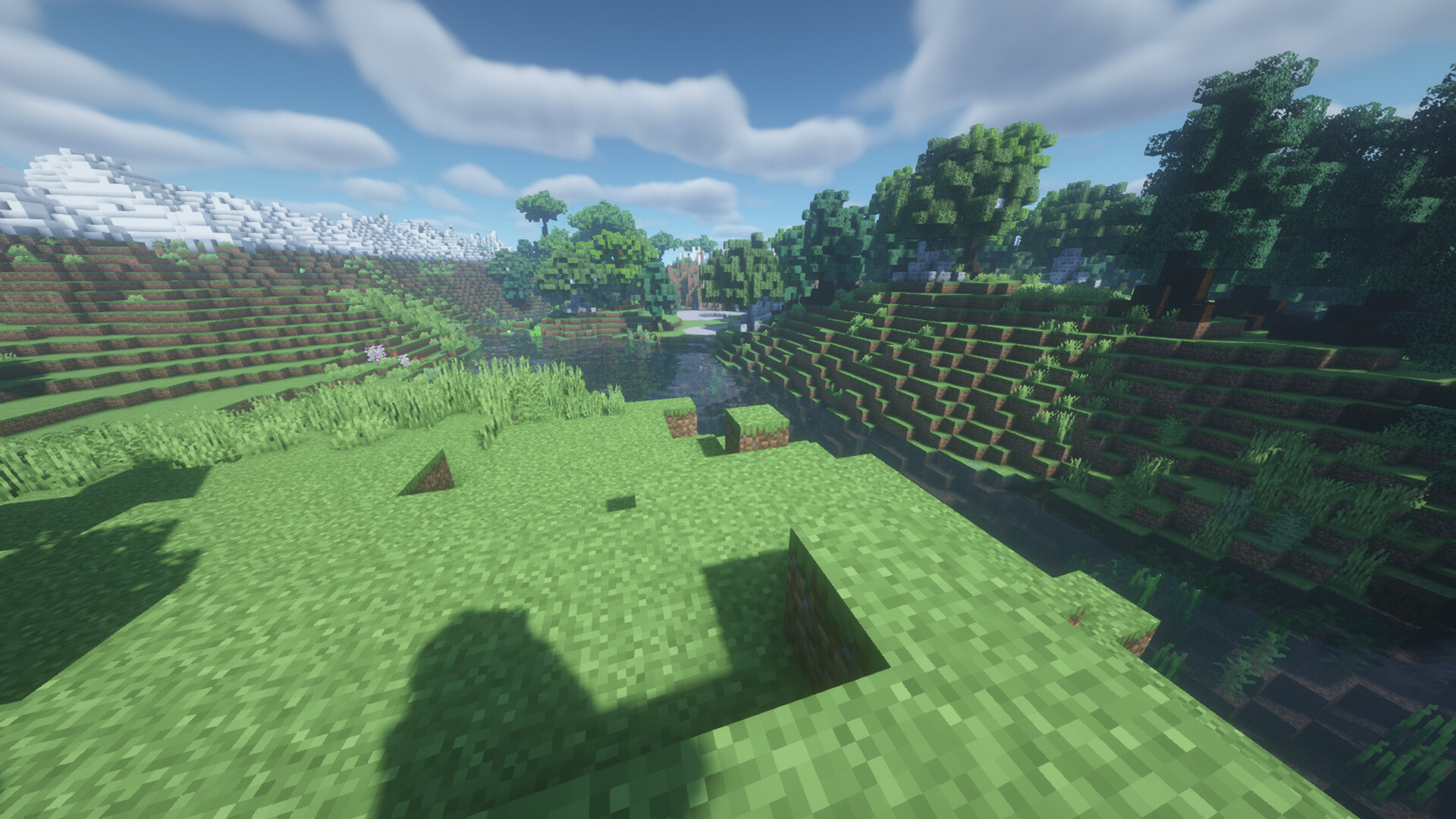 forest/with world painter#5 Minecraft Map