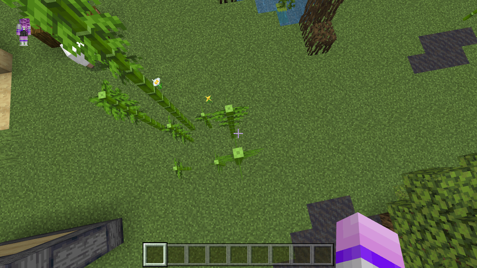 doodie alpha Minecraft Map