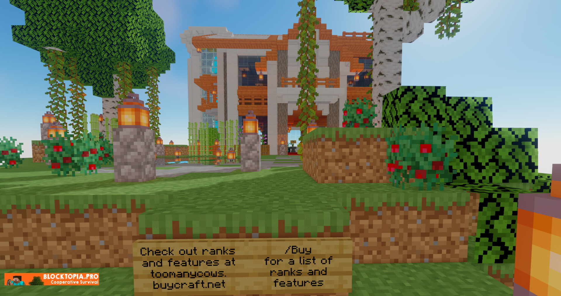 VIP Lounge Minecraft Map