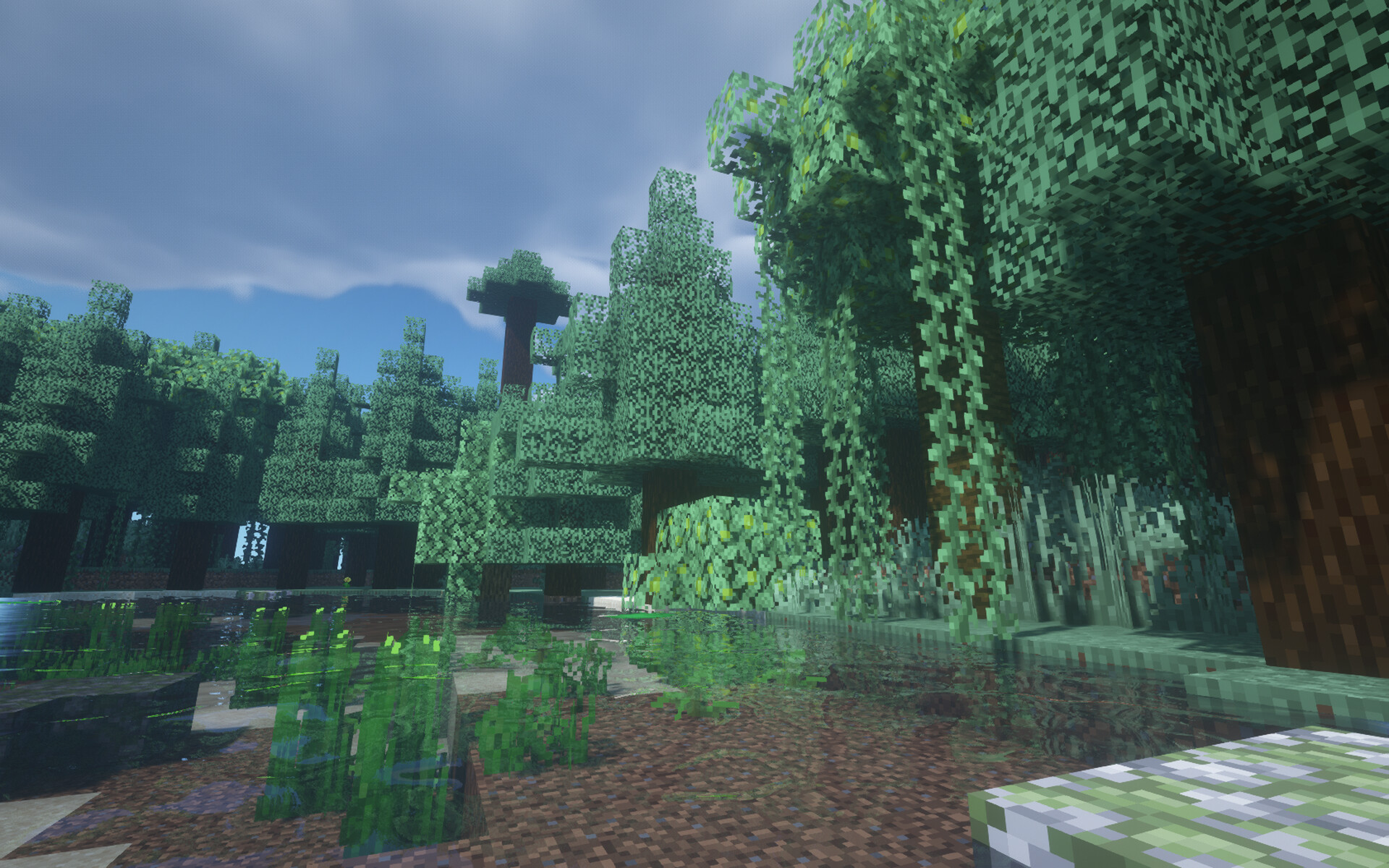 Pine world Minecraft Map