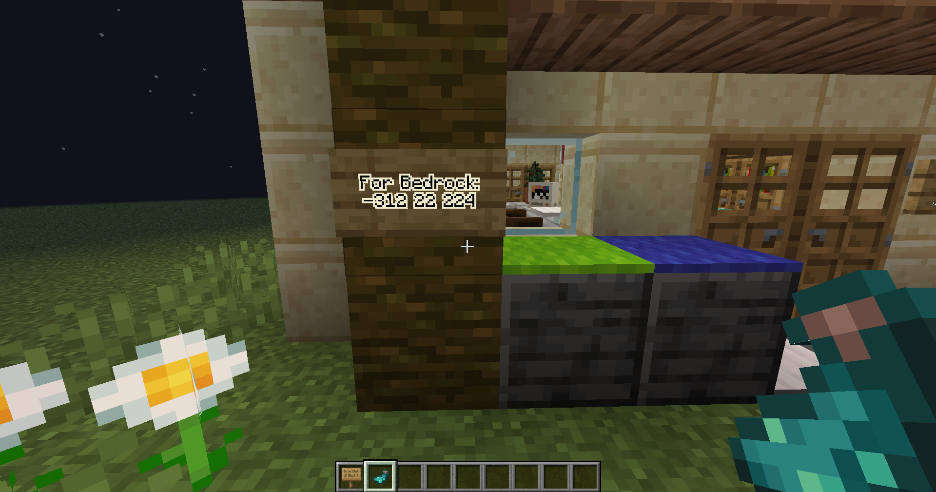 Large Zoo Minecraft Map