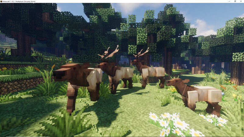 RPG MAP NEW Minecraft Map