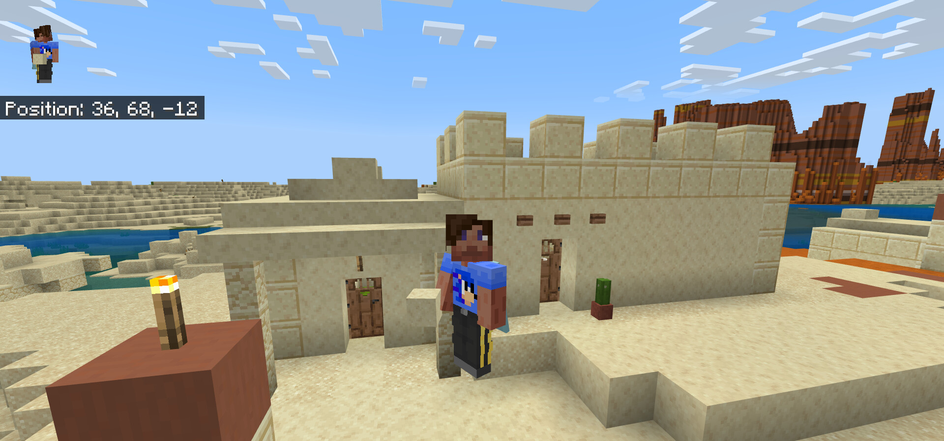 Just A Normal Village : Natcraft Minecraft Map