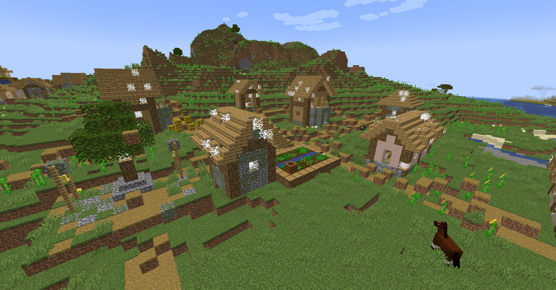 More village Minecraft Map