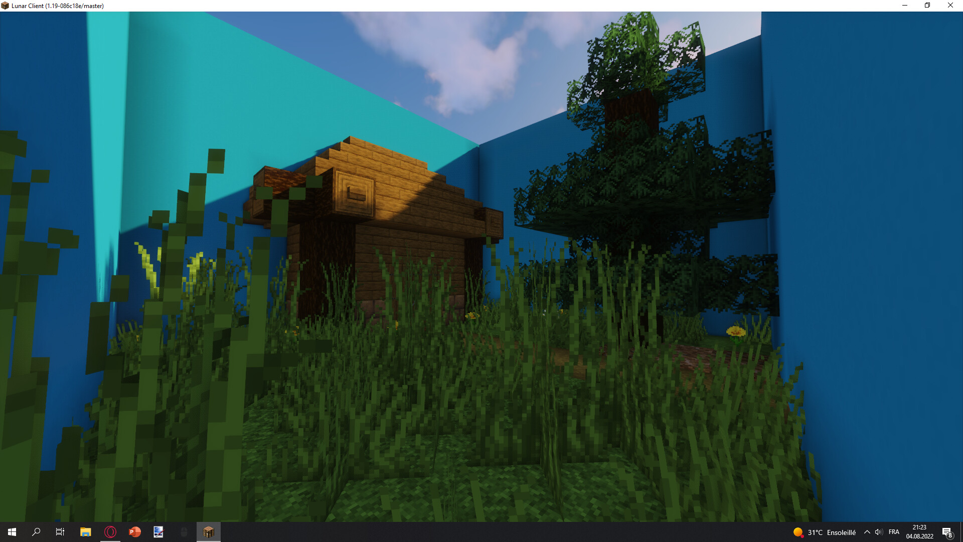 The Boutton Minecraft Map