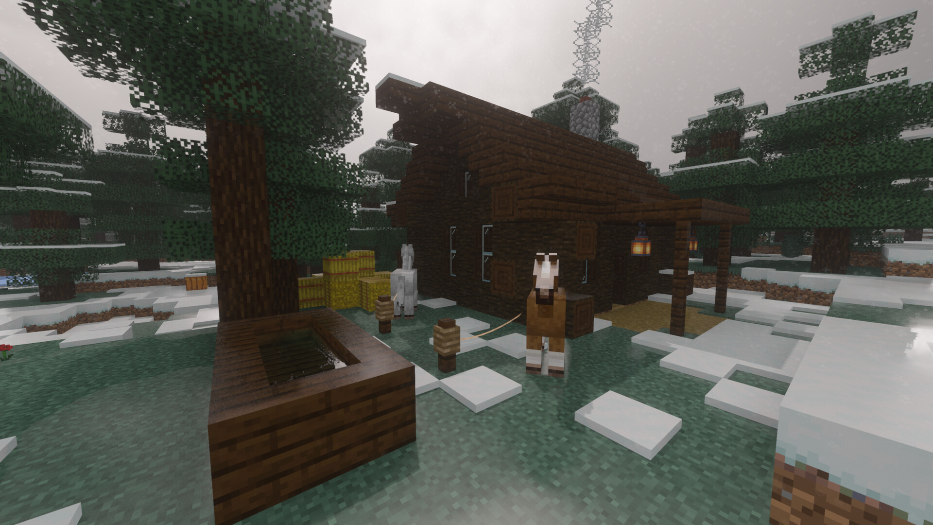 Cozy Small Survival Cabin Idea Minecraft Map