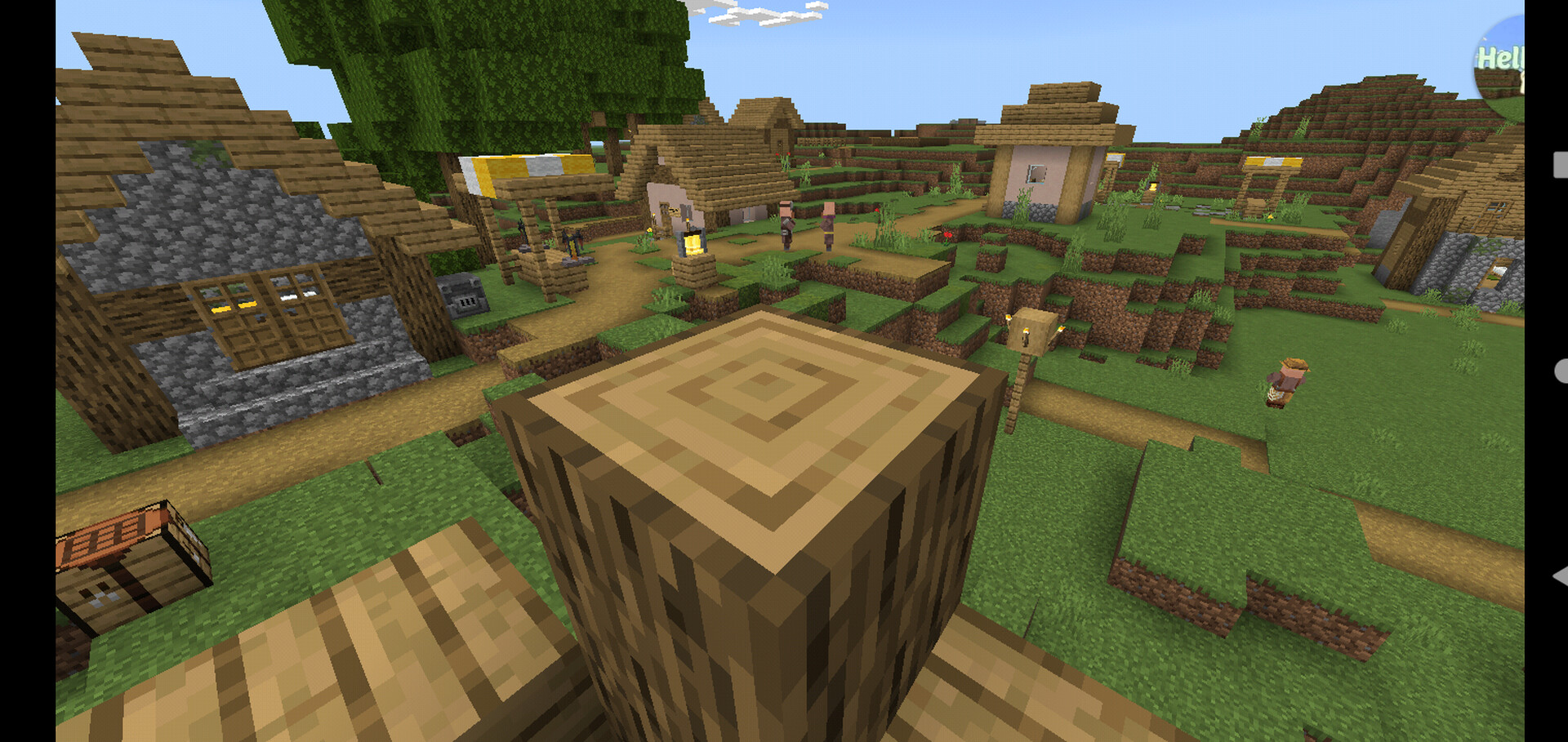 Hello Fresh SMP Official Map Minecraft Map