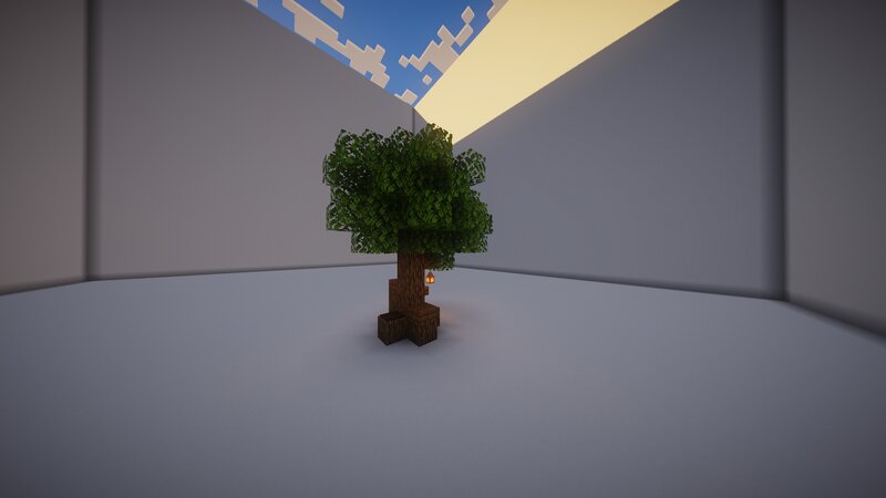 Large custom oak Minecraft Map