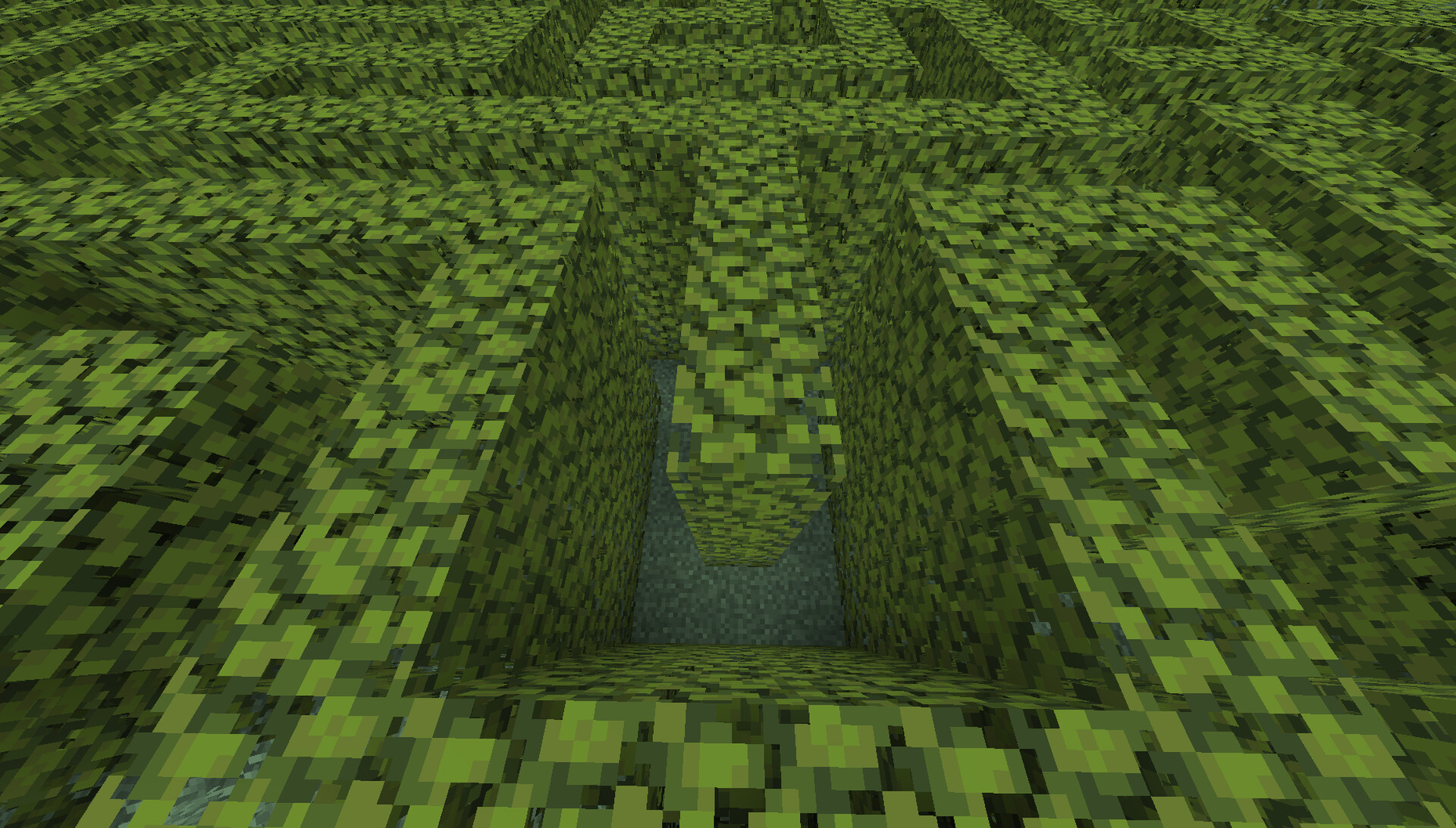 A Maze Thing! Minecraft Map