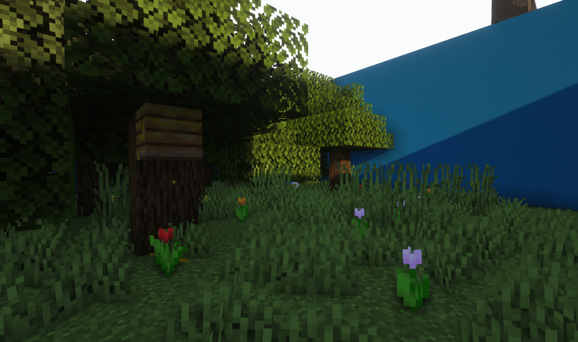 Find the button! Minecraft Map