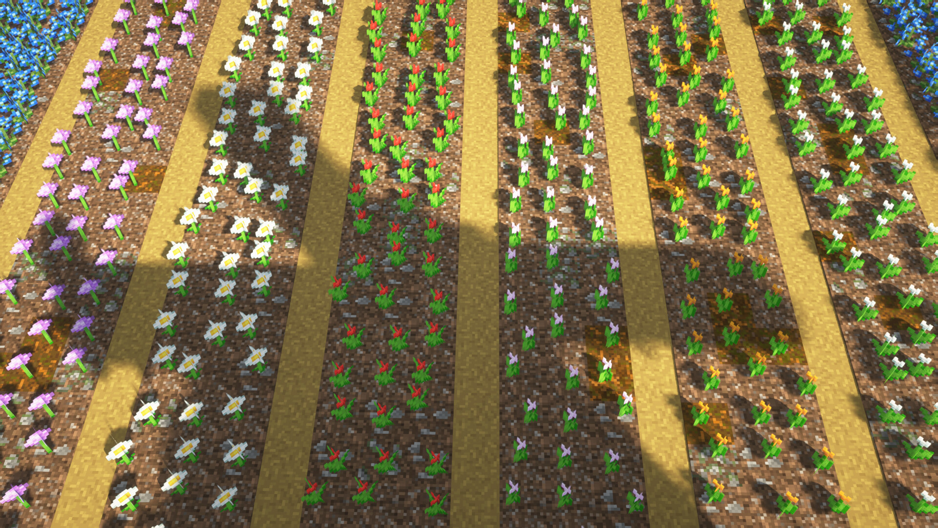 Come chill at the most peaceful place on Earth Minecraft Map