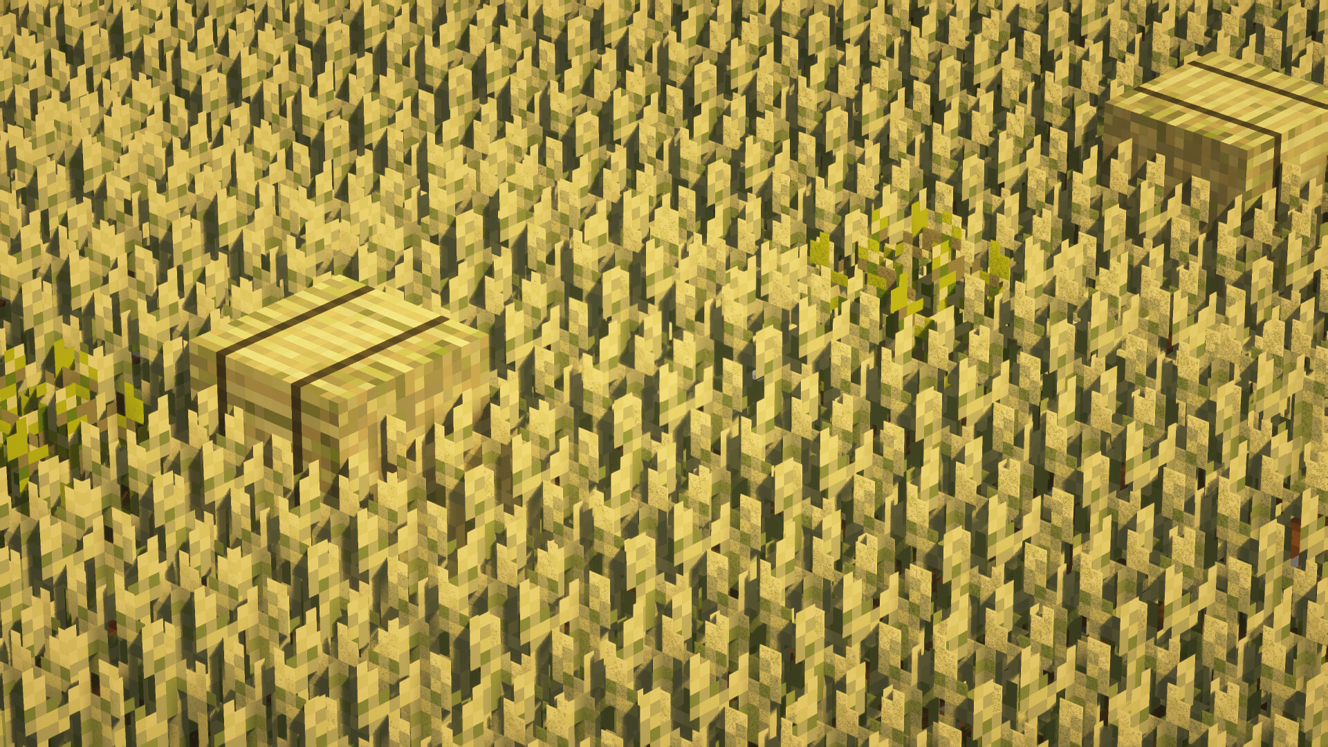 Come chill at the most peaceful place on Earth Minecraft Map